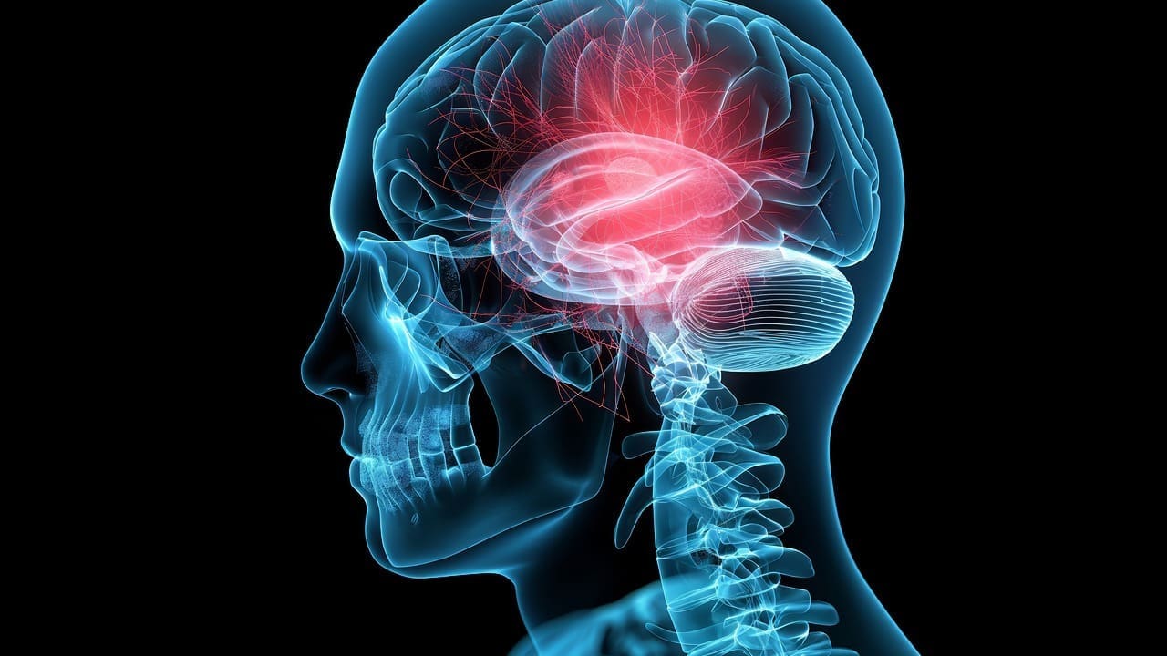 OCT-5644-Brain Lesion Symptoms: 12 Key Signs and What They Mean